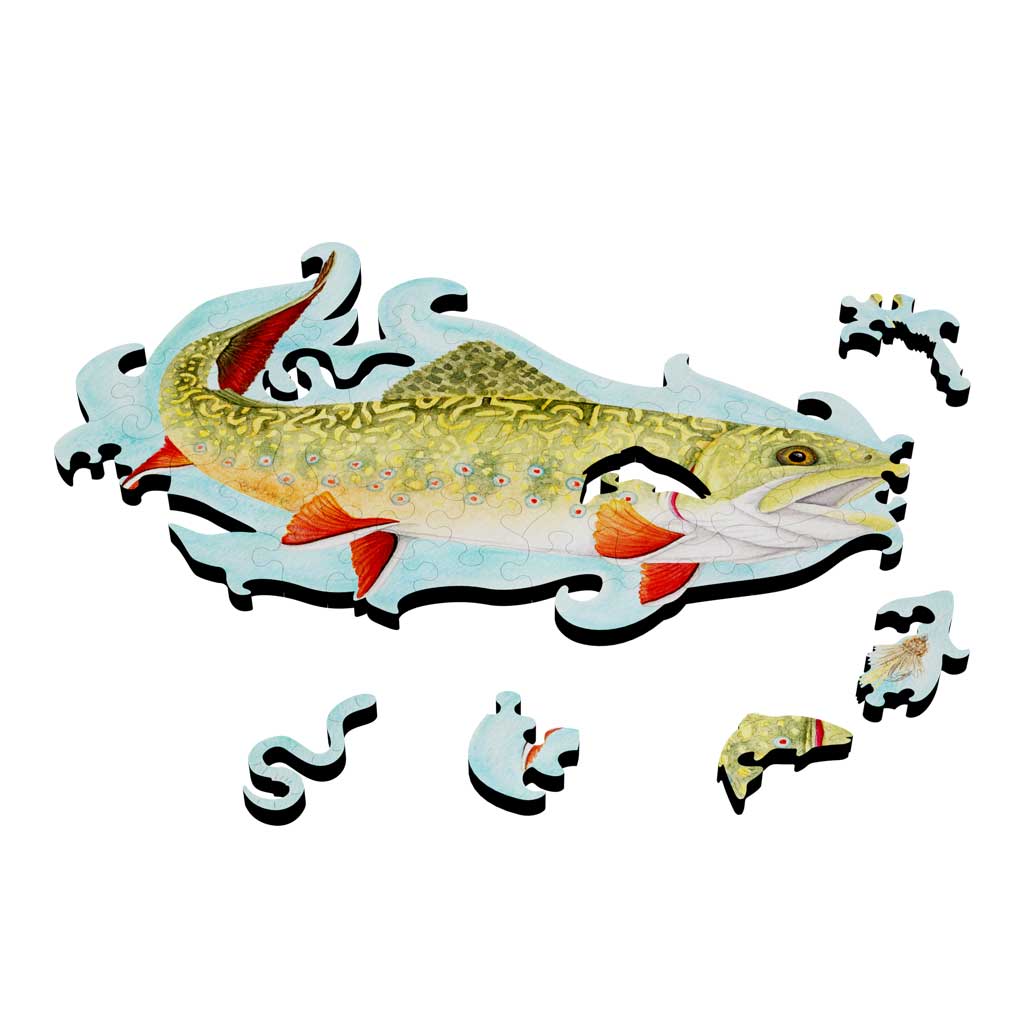 Thrill of the Chase – Fathom Puzzles